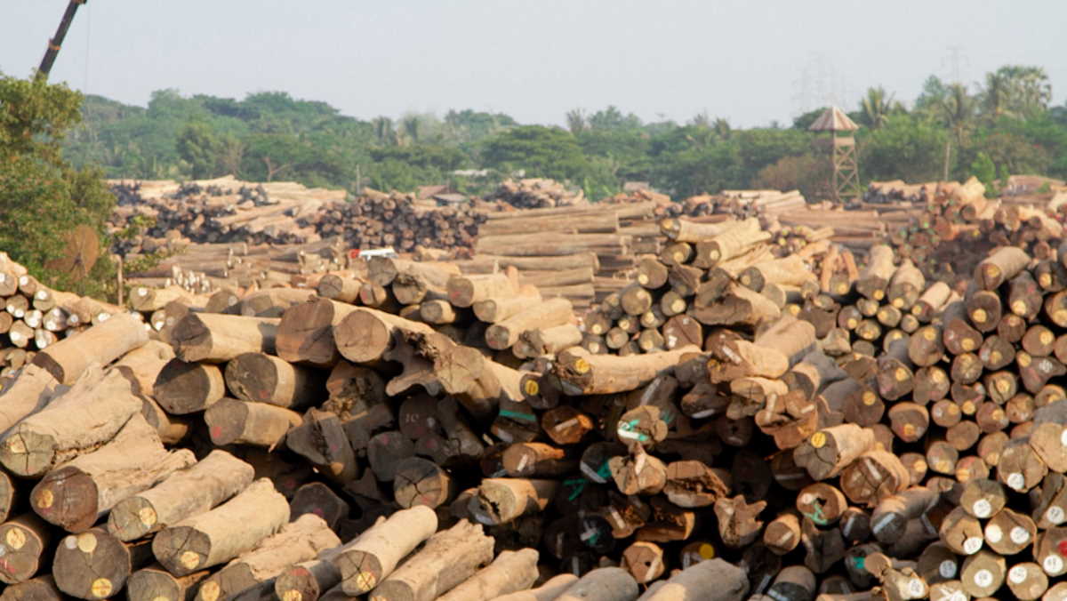 Myanmar seizes over 60 tons of illegal timber in week | Agrifish | POST ...
