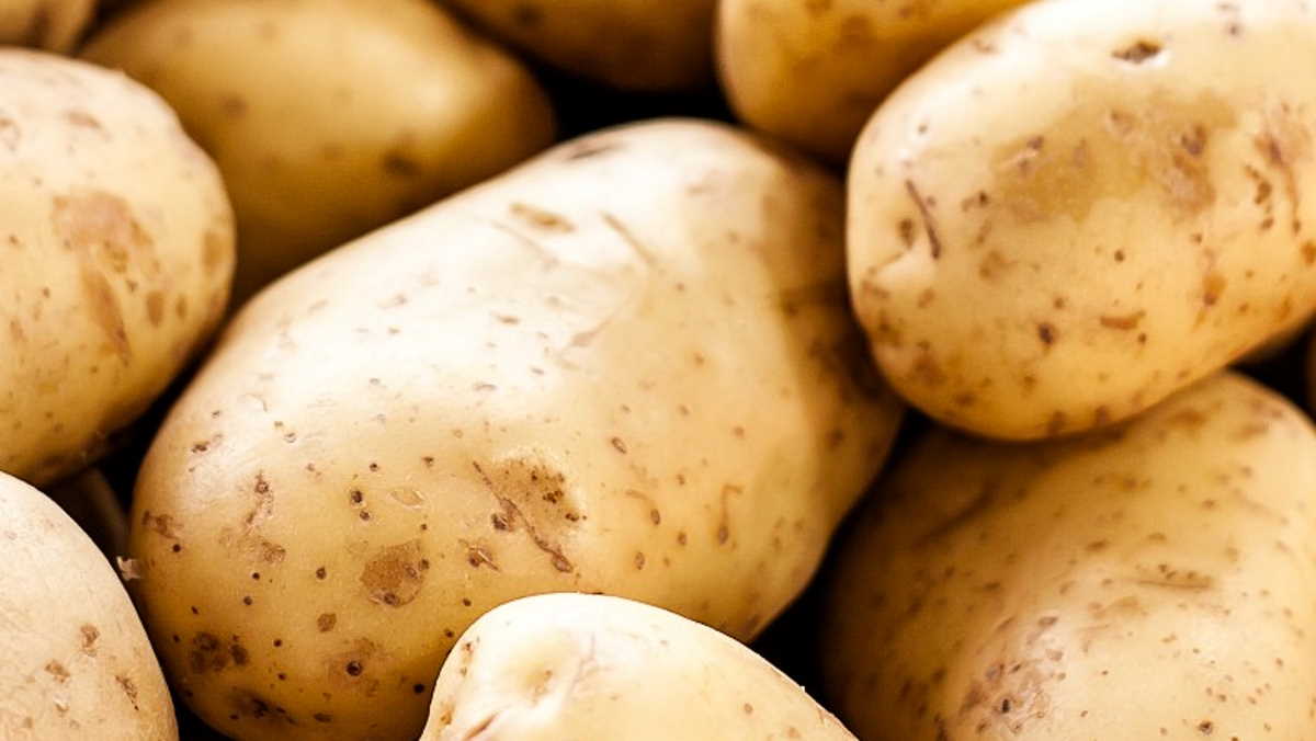 Four new climate-resistant potato varieties created in Nigeria ...