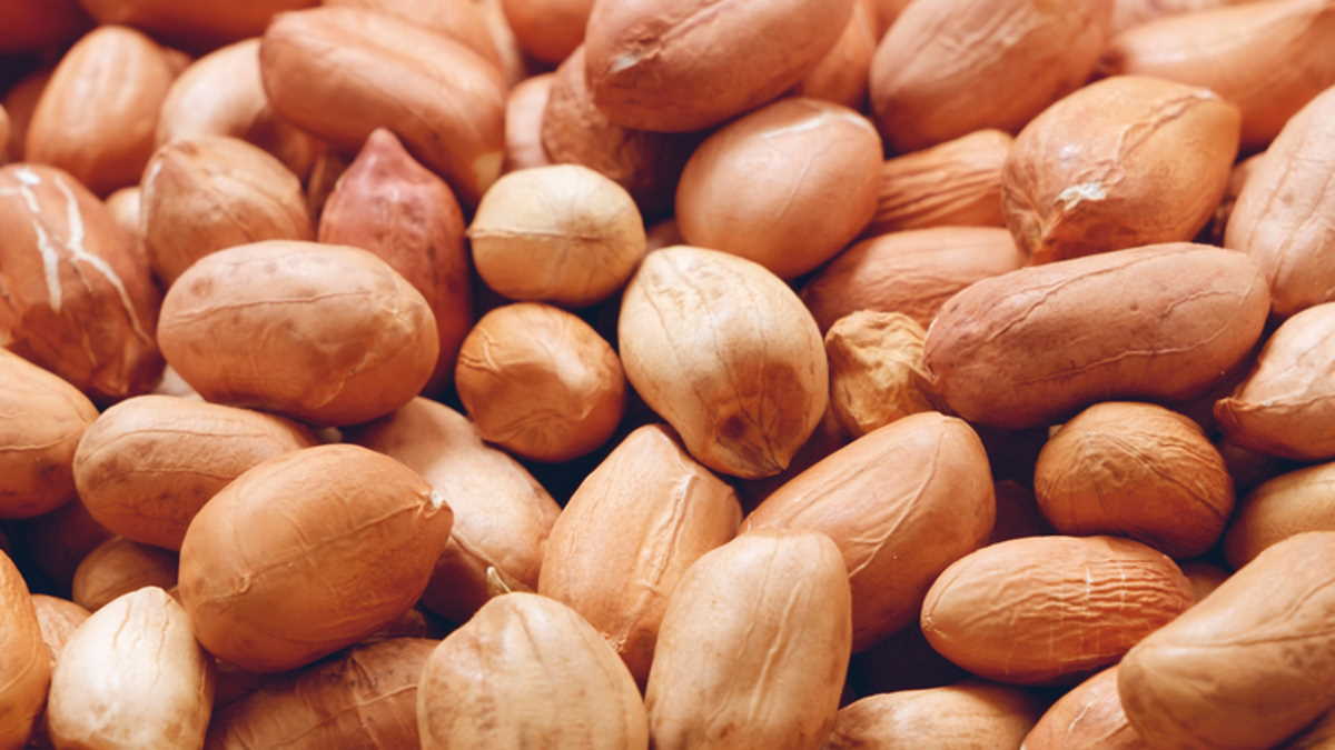 China opens market for peanuts from Brazil | Agrifish | POST Online Media