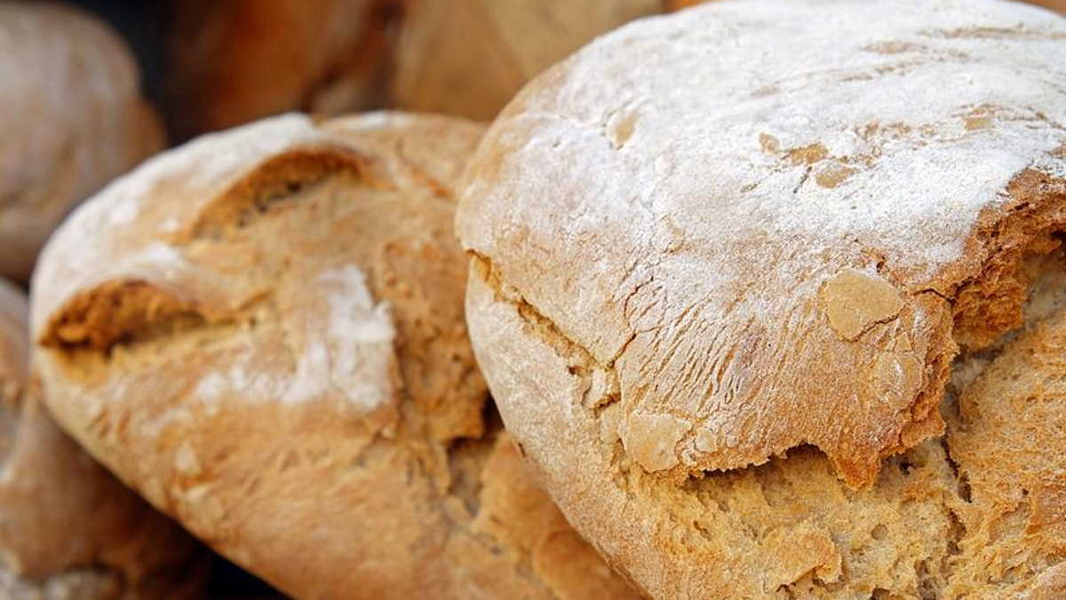 Lallemand acquires Nutrilife business from BASF | Companies | POST ...