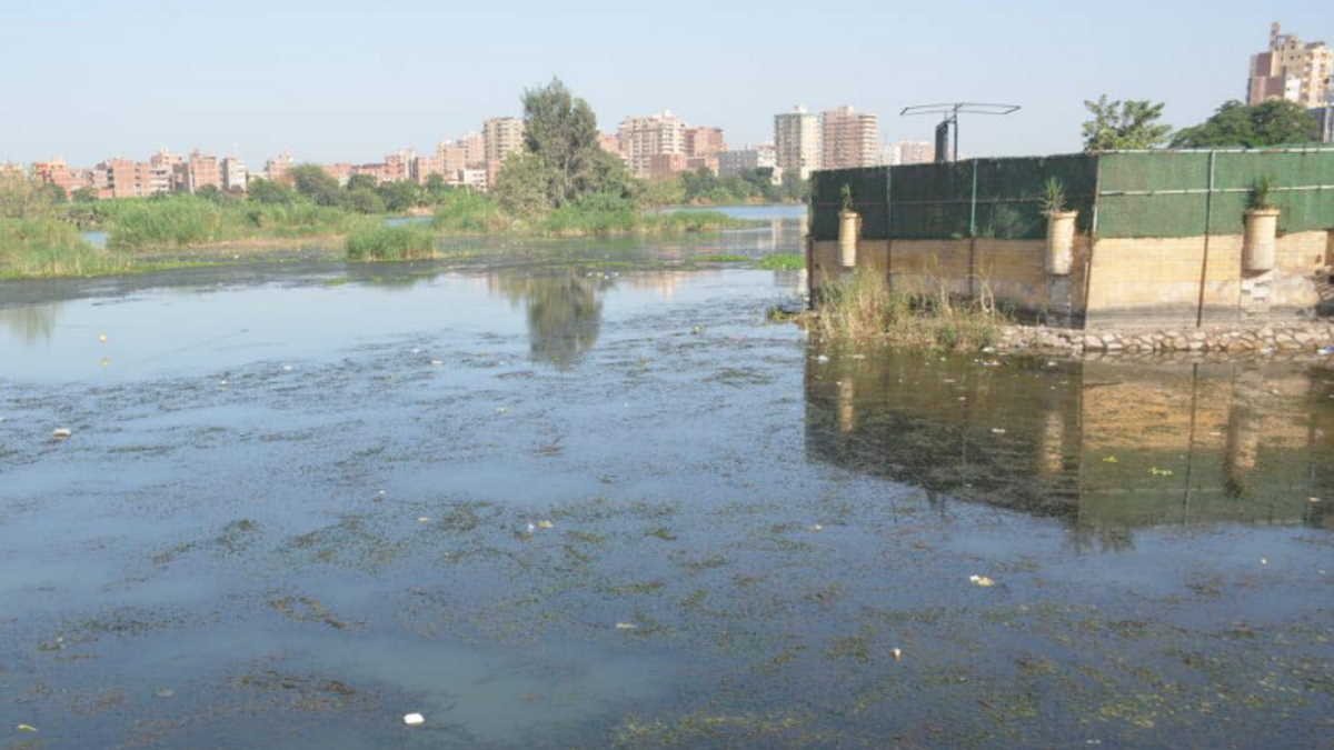 Egypt launches largest campaign to clean up Nile, hopes to break Guinness World Record | News ...