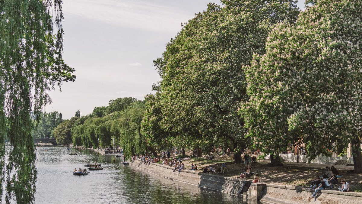 Berlin plans to plant 500,000 trees in autumn | Meantime | POST Online ...