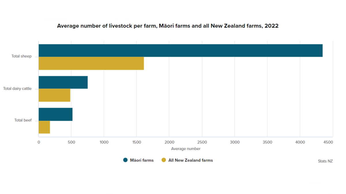 New Zealand: Māori farm size much larger than average size | Agrifish ...