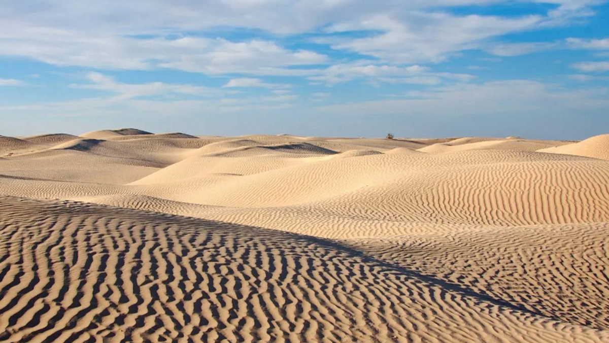 New research reveals why and when Sahara Desert was green | Meantime ...