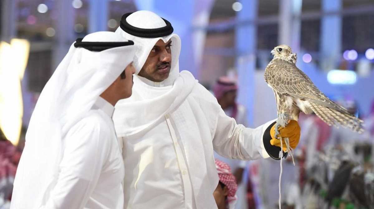Saudi Falcons and Hunting Exhibition for falconry enthusiasts from ...