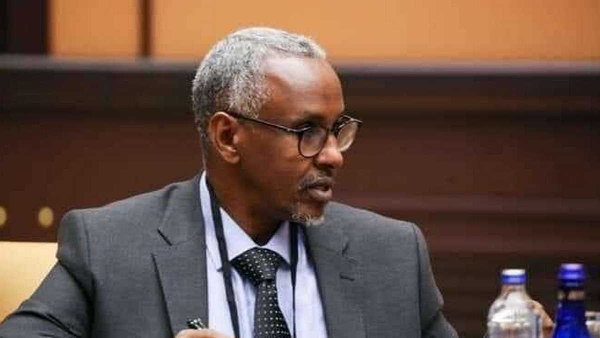 Coastline Exploration receives authorisation for explorations in Somalia | Companies | POST ...