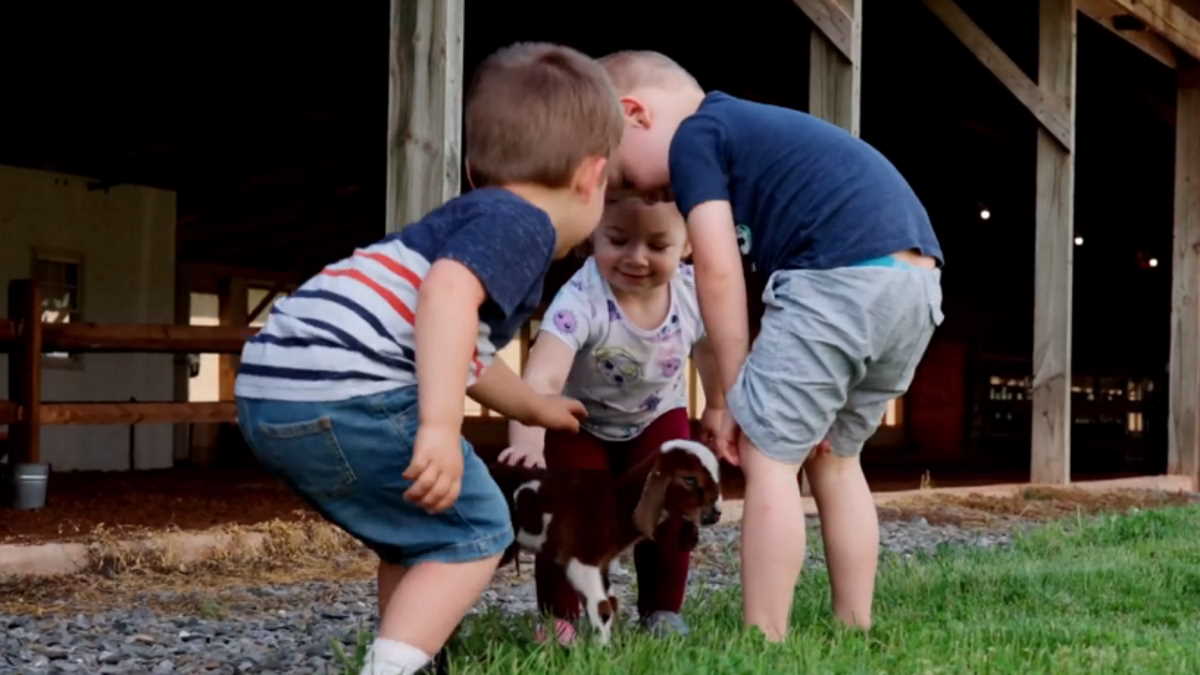 Magnolia Meadow Farms in Thurmont, Md., is where all the fun is ...