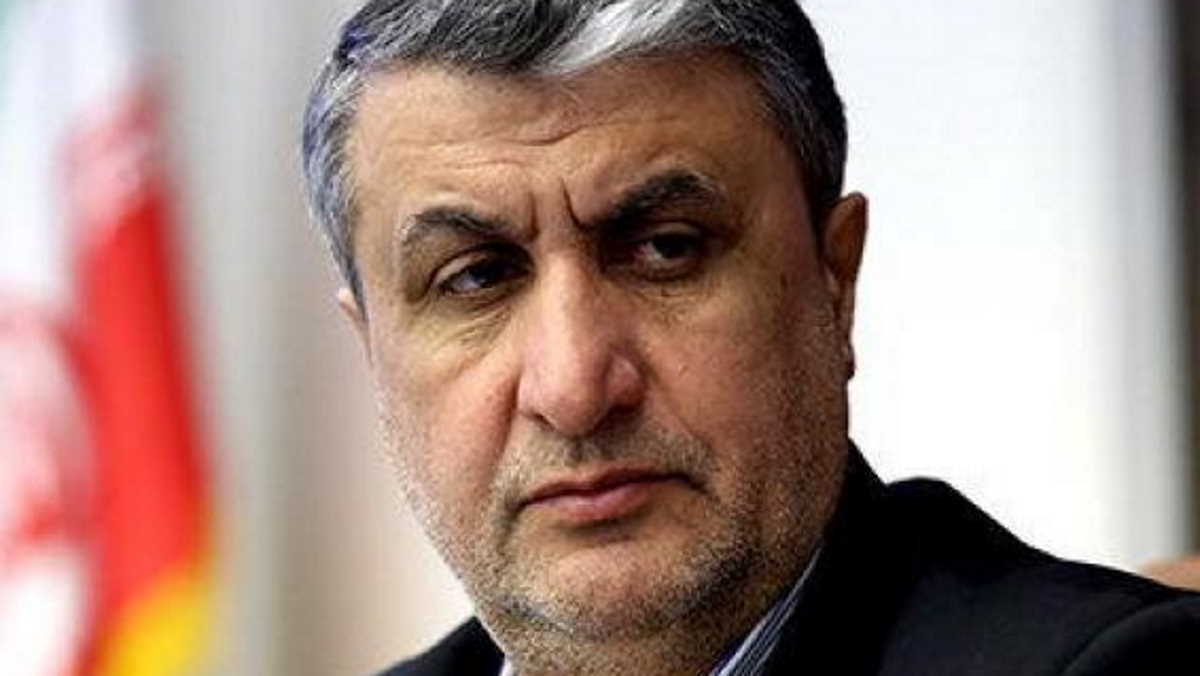 Iran starts building 10-megawatt plate fuel research reactor | Business ...