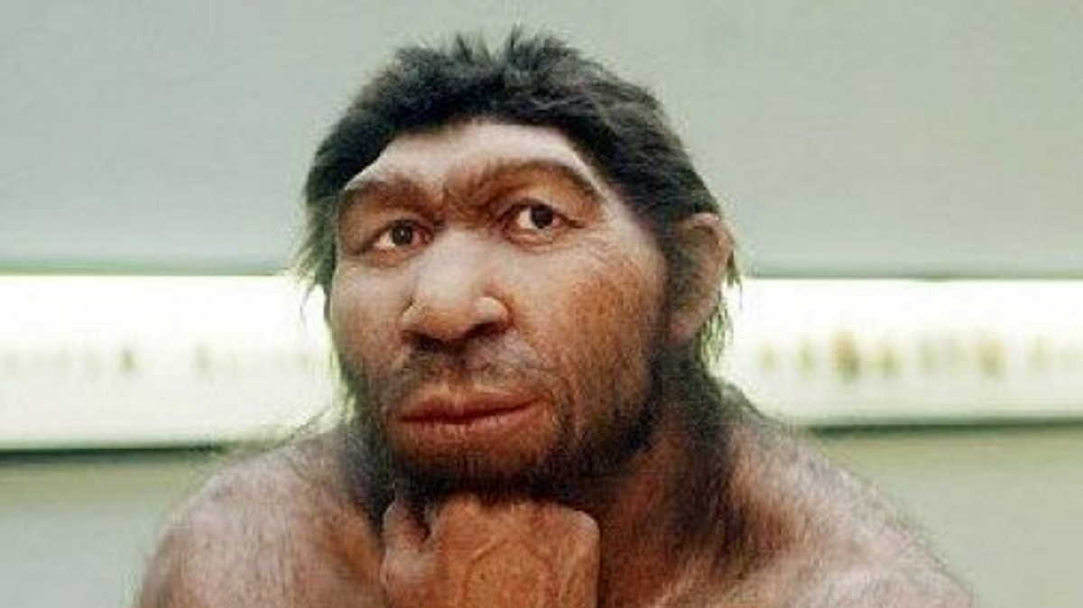 Neanderthal family structure revealed for first time | Meantime | POST ...