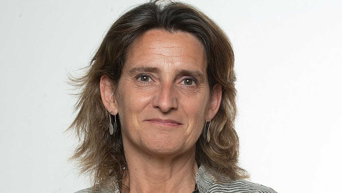 Spain-France pipeline to take around 5 years to build, says Spanish ...