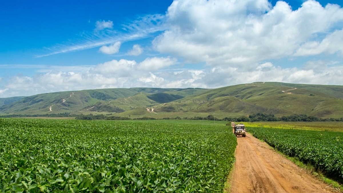 Brazil updated value of agricultural production to $228 billion this ...