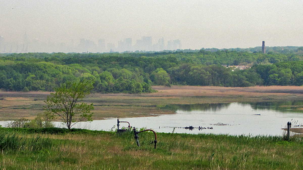 New York City open first public space in Freshkills Park, former world ...