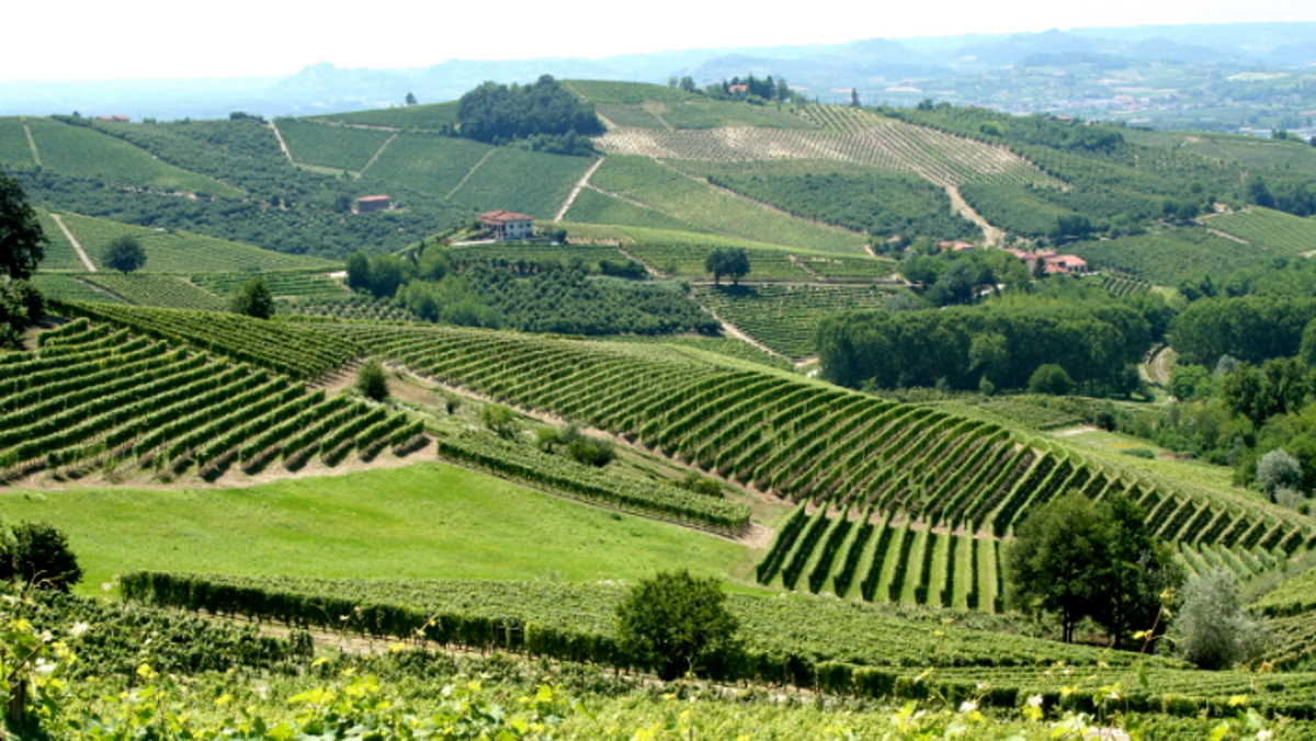 Commission approves €910 million Italian scheme to support agro ...