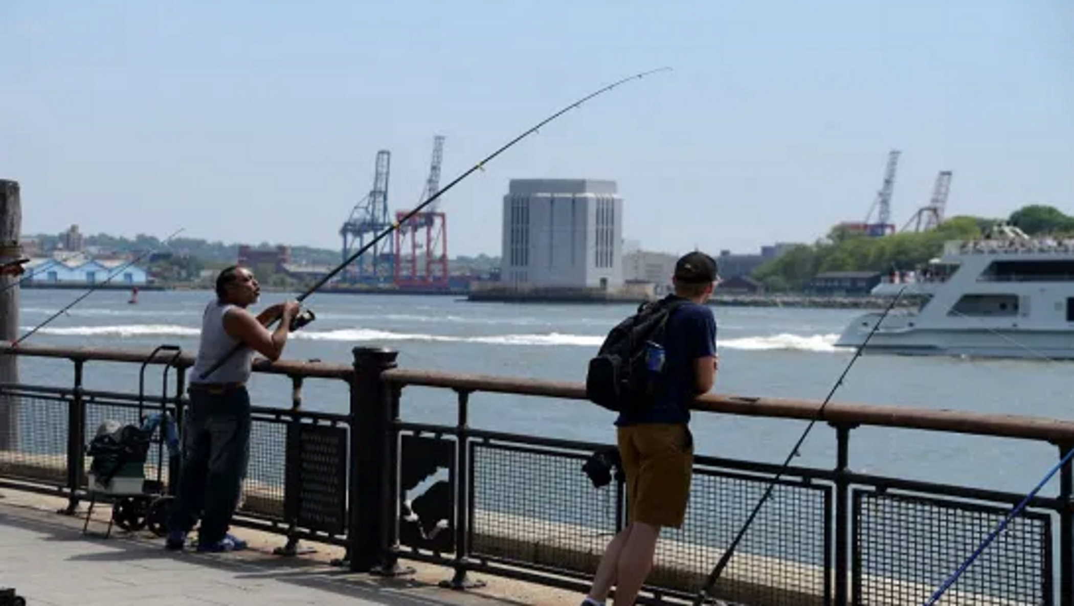 New York: Free Fishing Day on November 11 to honor veterans | News ...