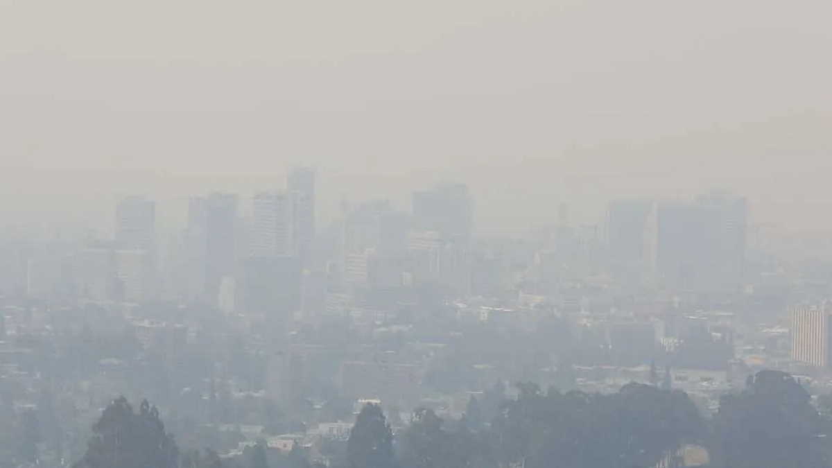 Forest fires rage in three of Bolivia's nine departments | News | POST ...