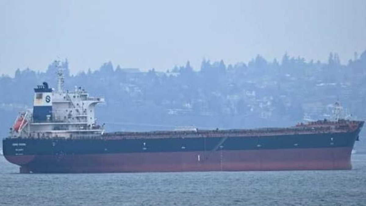 Grain ship damaged in Black Sea, likely due to mine explosion | News ...