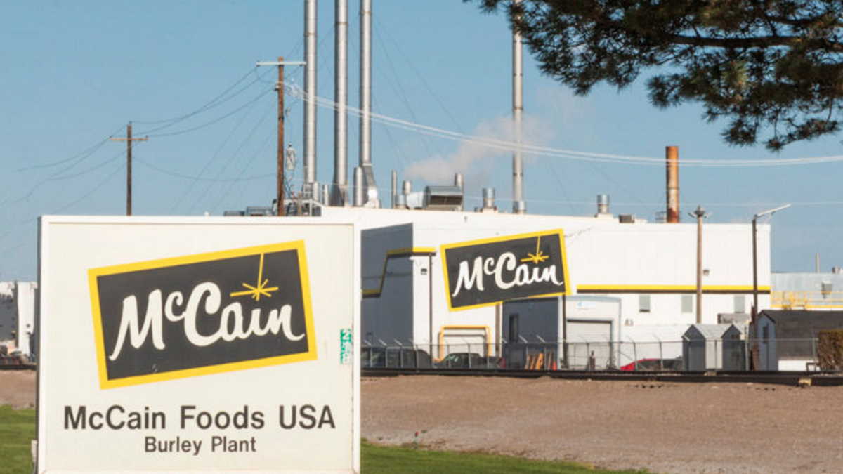 McCain Foods USA and partners got $6.9 million for sustainable potato ...