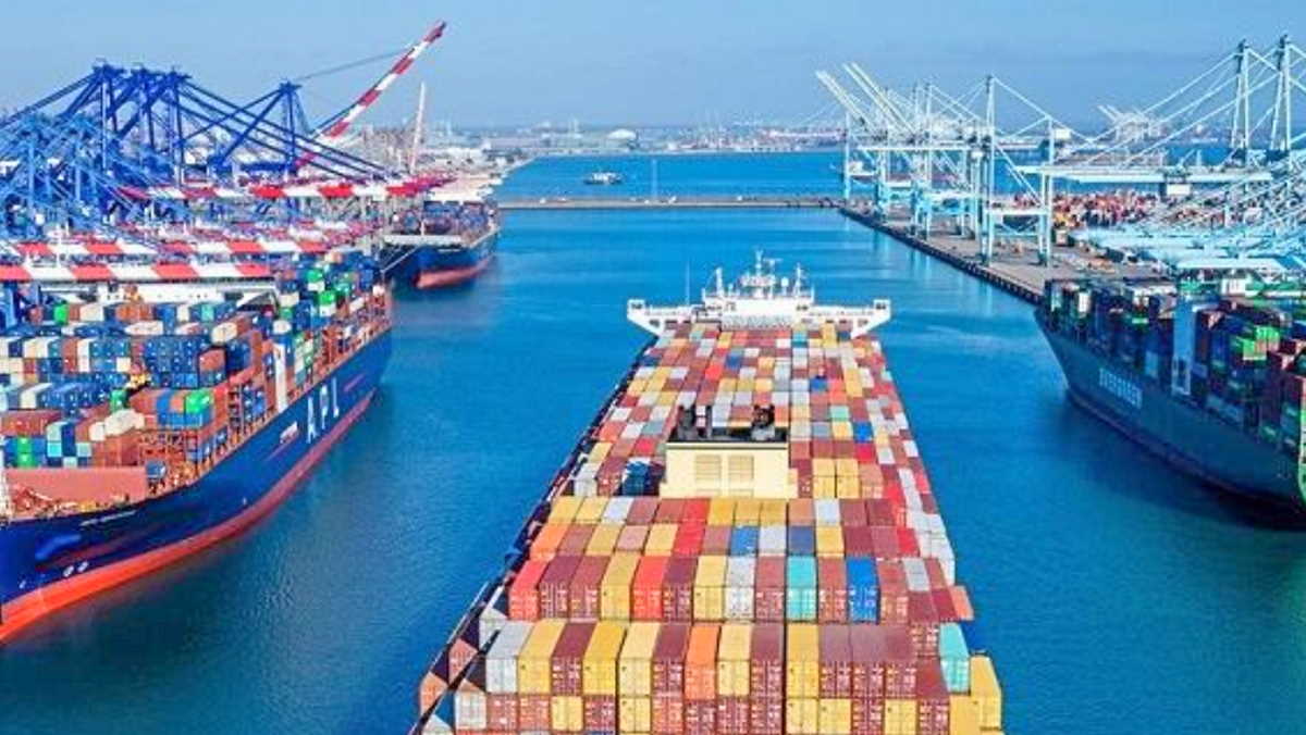 WSC Whale Chart navigational aid to protect whales | Agrifish | POST ...