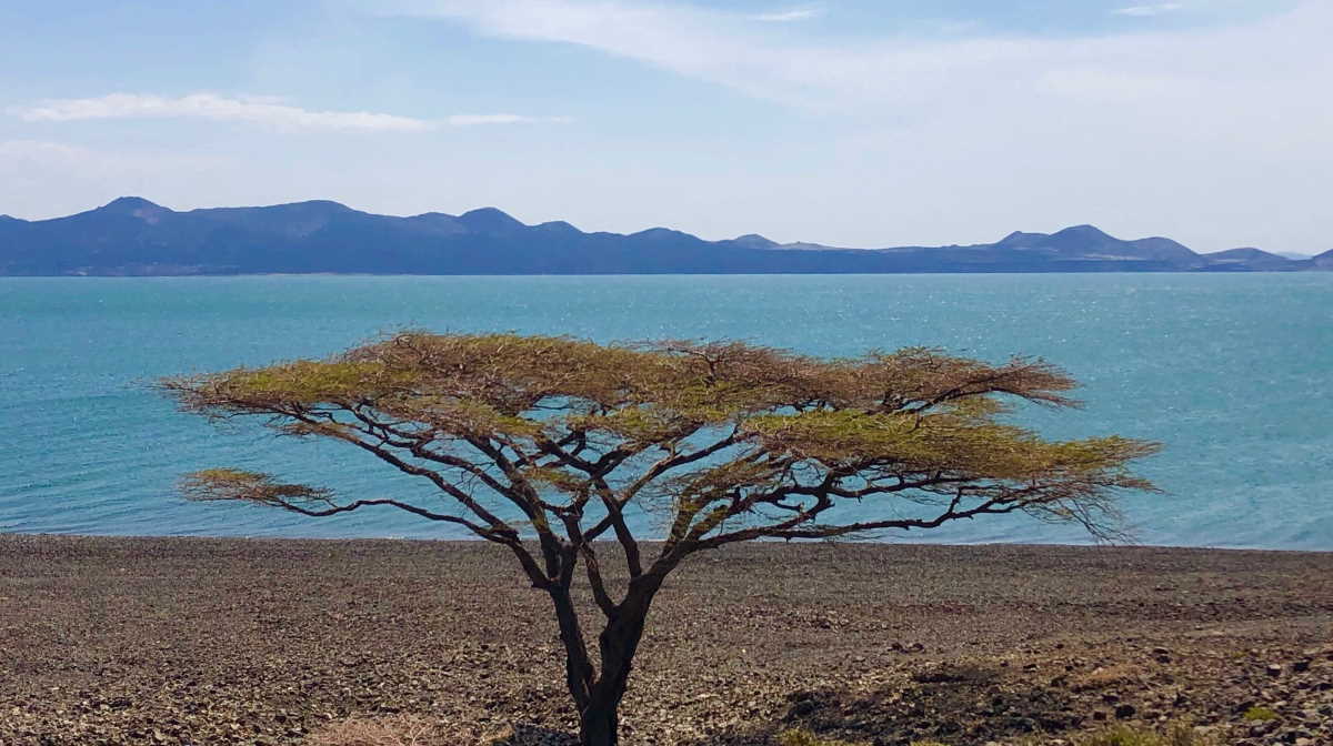 Lake Turkana, a permanent lake in Kenyan desert | Travel | POST Online ...