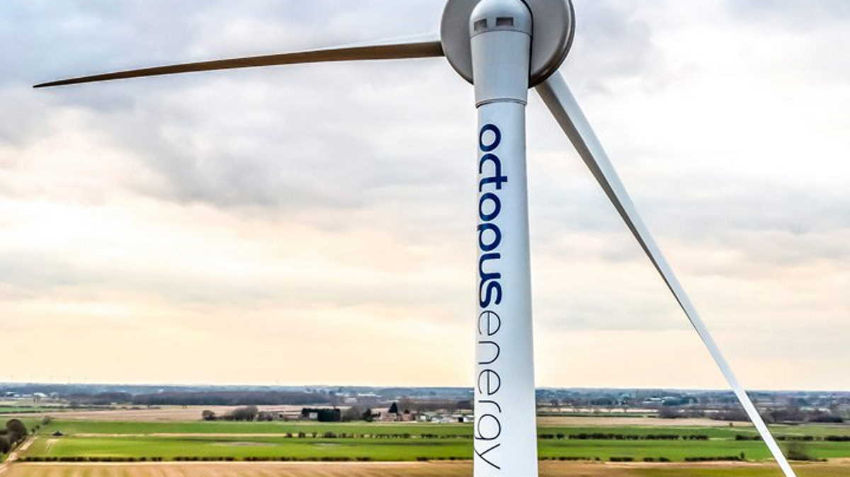 Octopus Energy Generation acquires Zestec Renewable Energy | Companies ...