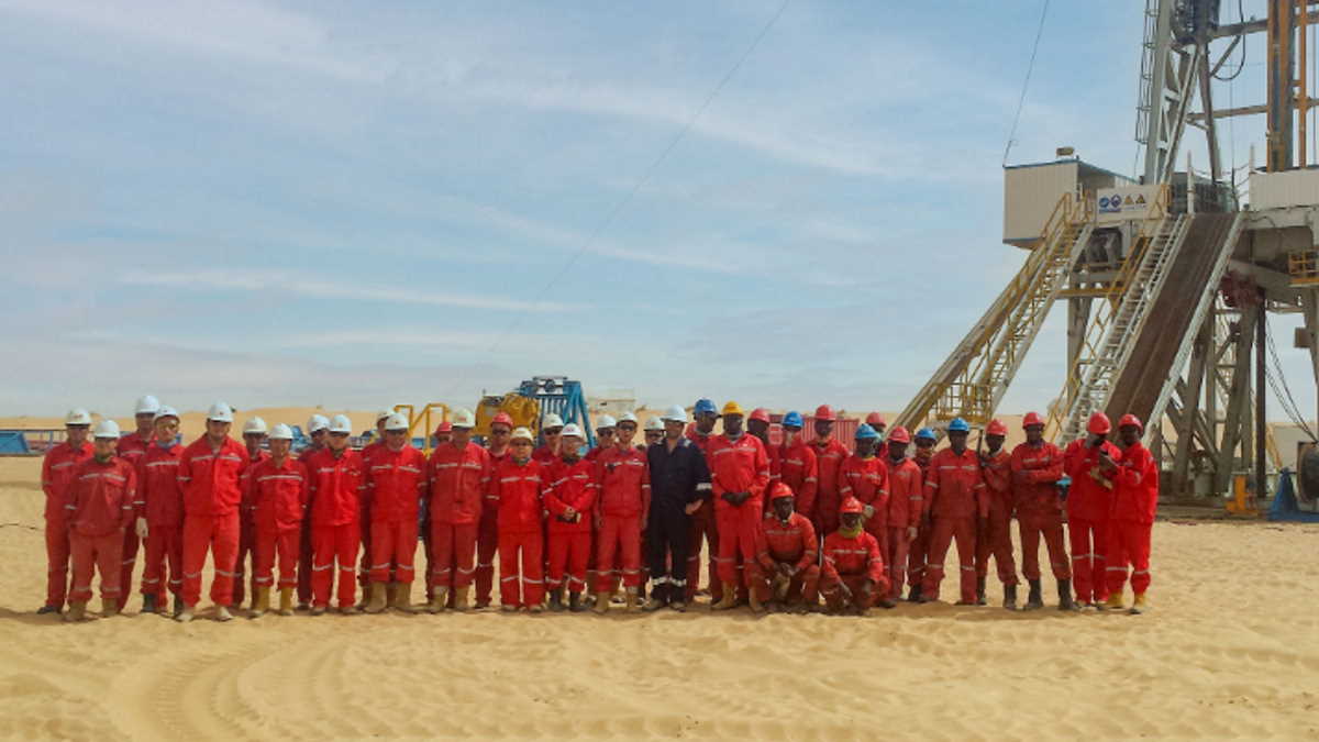 Savannah Energy buys ExxonMobil’s portfolio in Chad and Cameroon ...