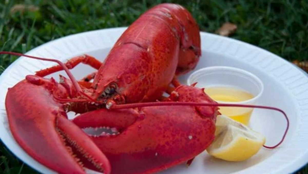 Virginia’s seafood industry provides $1.1 billion boost to state’s ...