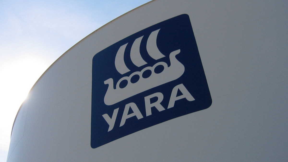 Yara to deliver fossil free green fertilizers to biggest potato farmer ...