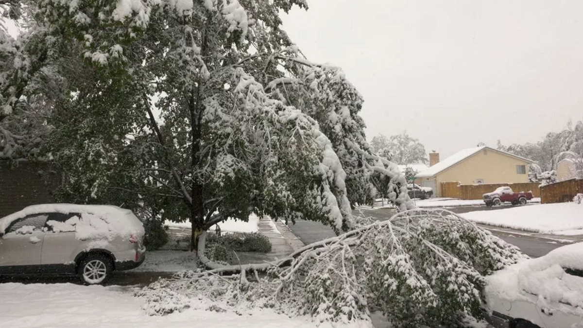 Kansas, Nebraska and South Dakota expect heavy snow | News | POST Online Media