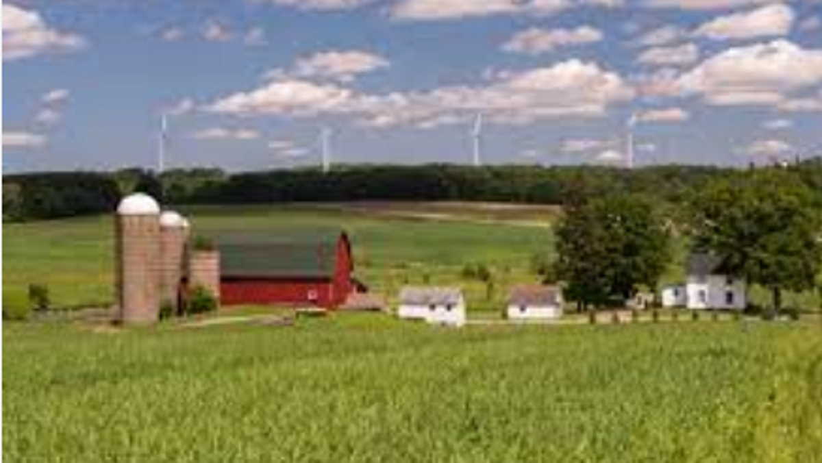 New York: $4.25 million for more than two dozen meat businesses ...