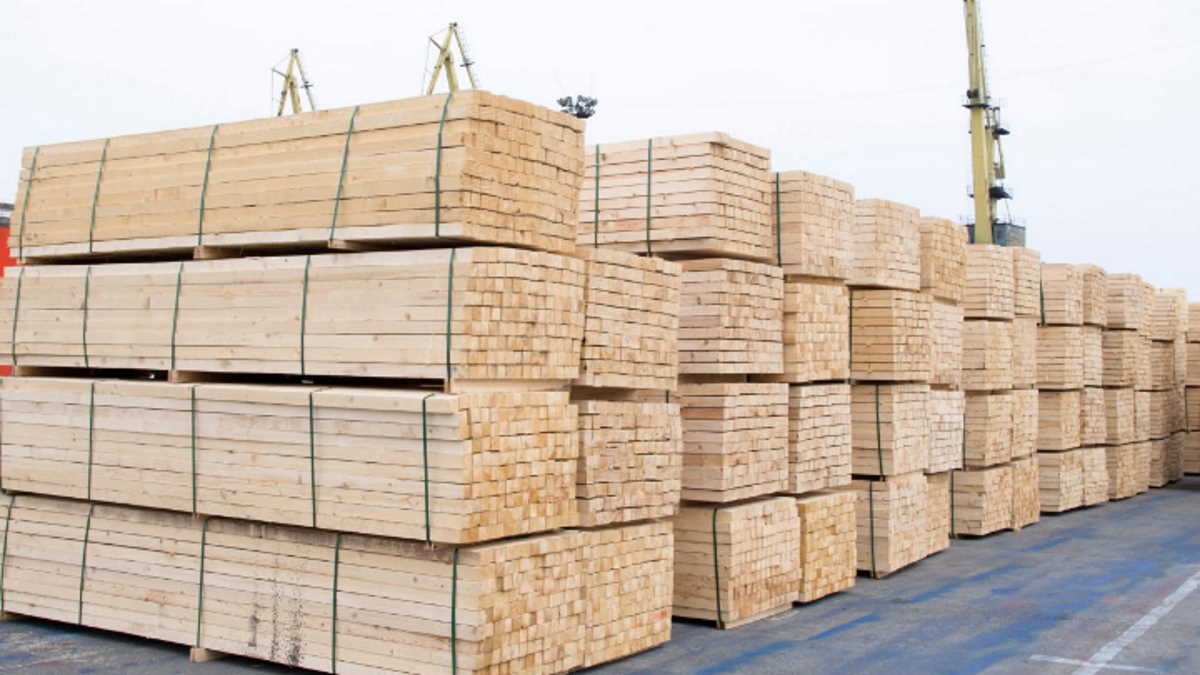 New timber roadmap launched to boost UK construction and reduce ...
