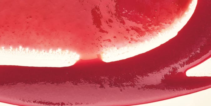 ADAMANCE MEEKER RASPBERRY PURÉE