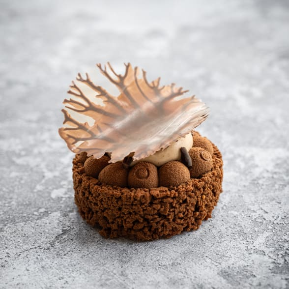 VALRHONA Offizielle Website | Außergewöhnliche Schokolade seit 1922.