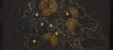 Blond - Dulcey & Orelys chocolate | Valrhona Chocolate