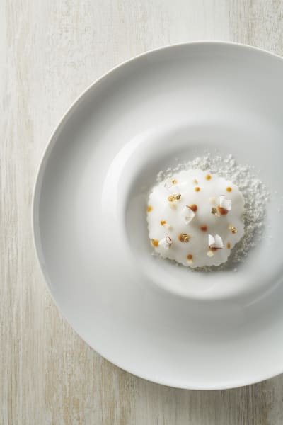 Winter Veil with Amatika White 35% White Couverture