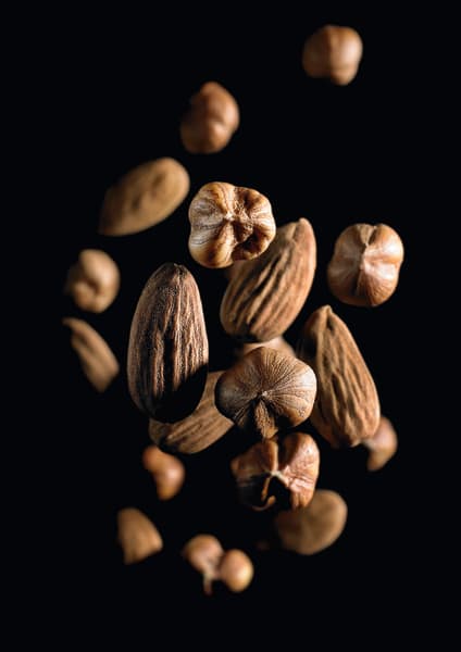 Almond Hazelnut Praliné | Valrhona Asia