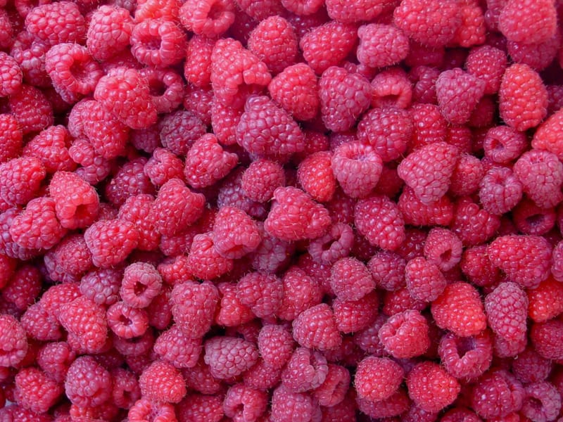 Seasonal Raspberry Recipes