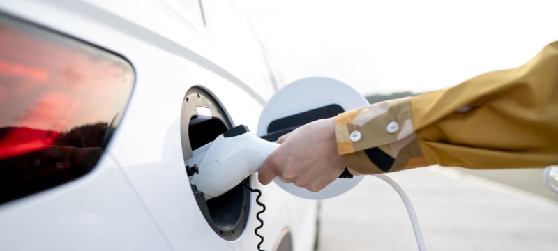 High Costs and Safety Concerns: Why Millions of Americans Aren't Buying ...