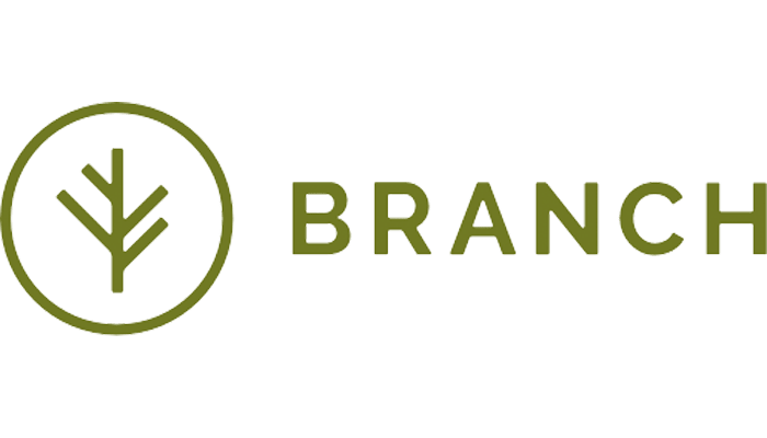 Branch Auto and Home Insurance Review - ValuePenguin