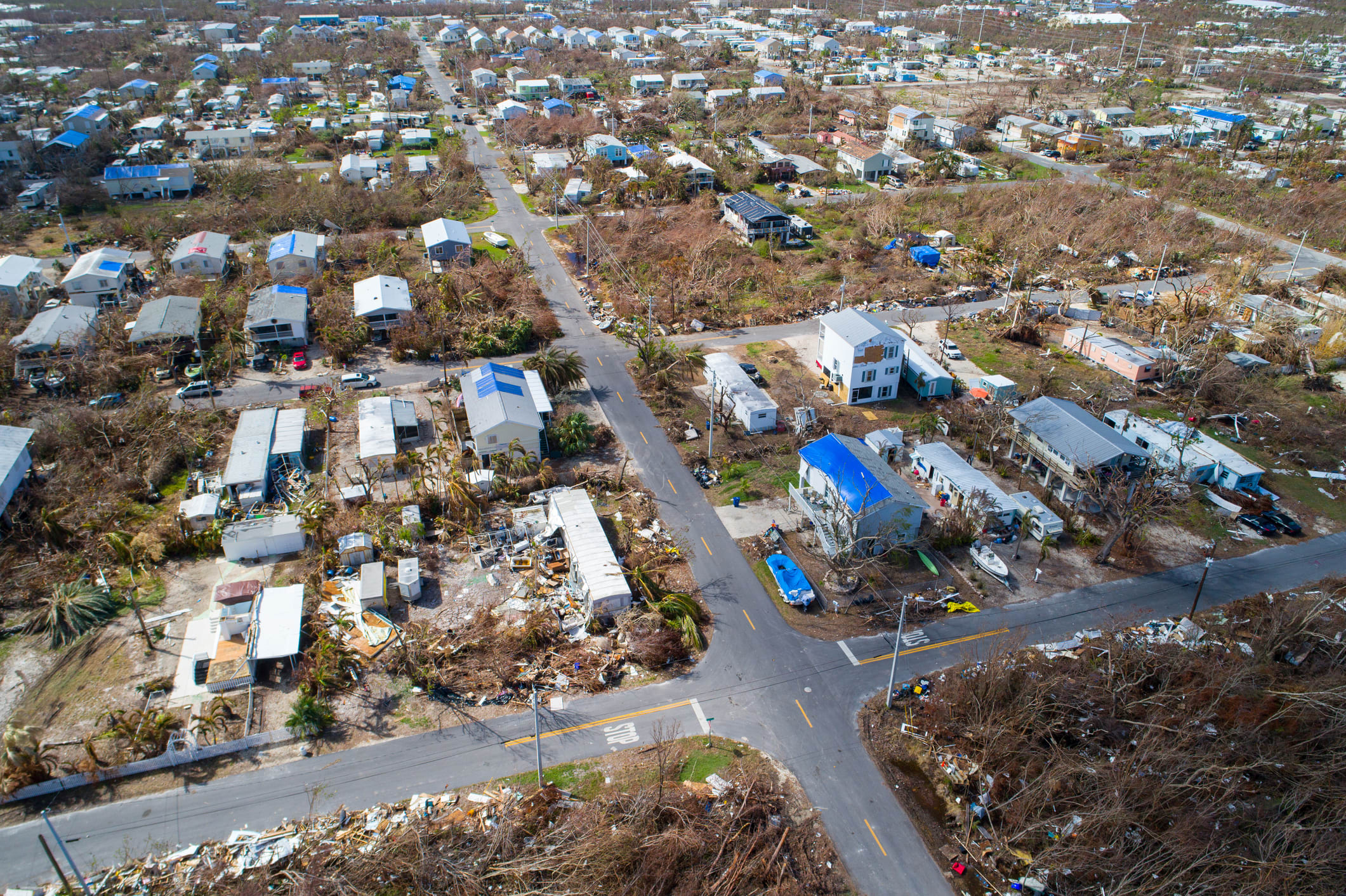 Which States Are Most Likely to Suffer From Hurricanes? - ValuePenguin