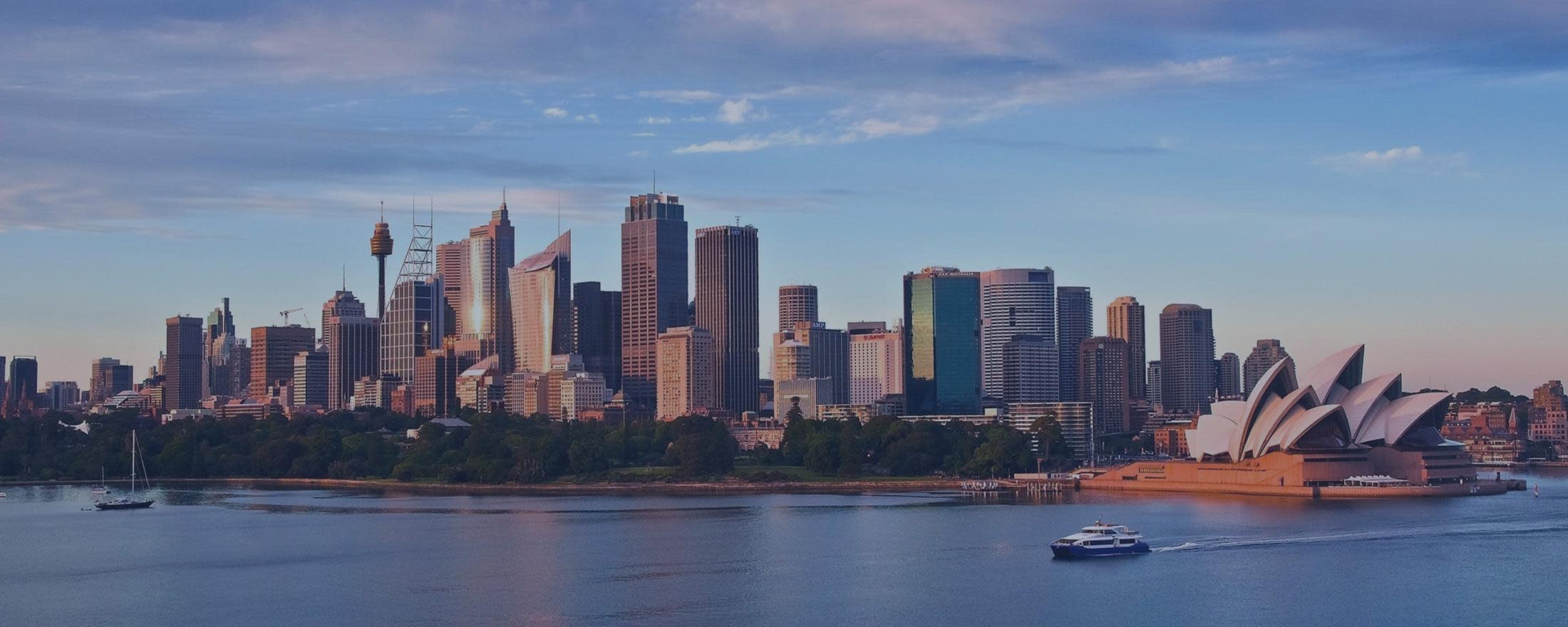 Ribbon Property Consultants: Sydney Real Estate Experts