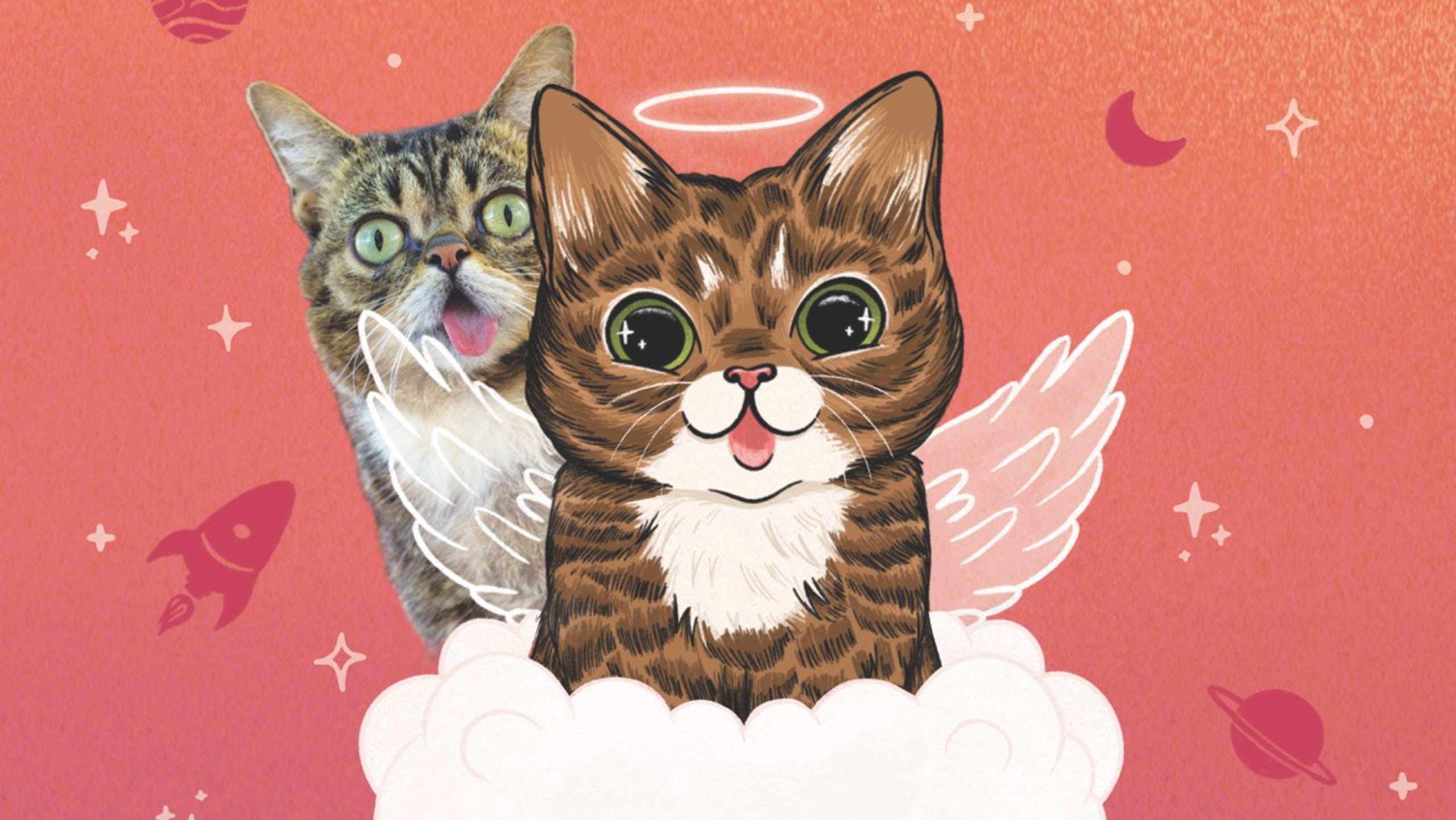 Celebrating Lil BUB through Science and Magic - VEEPS