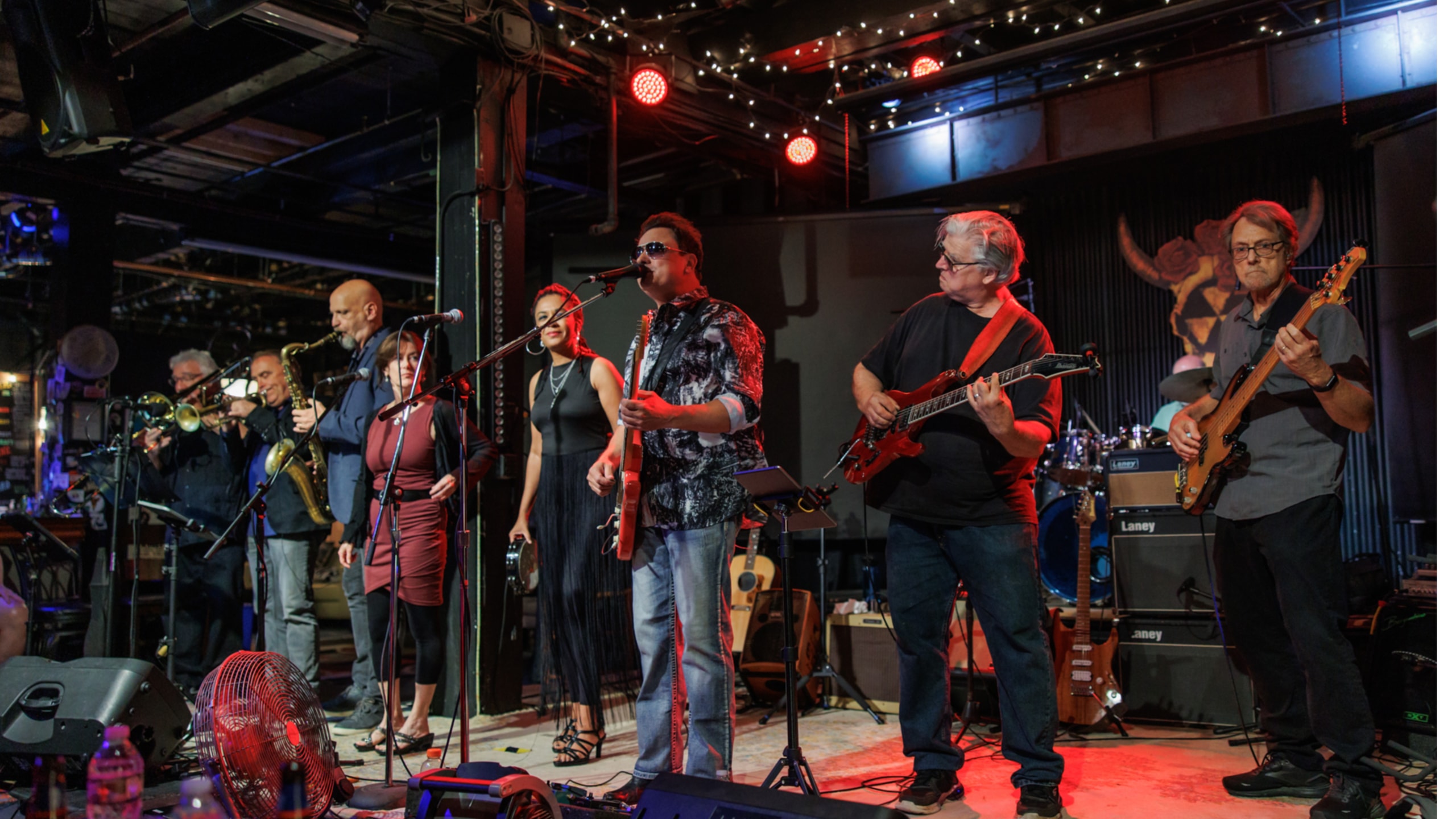 No Static - No Static- Steely Dan Tribute 'The Royal Scam' Livestream ...