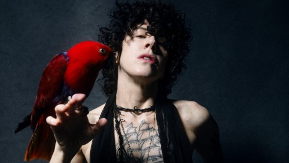 LP Livestreams - Veeps