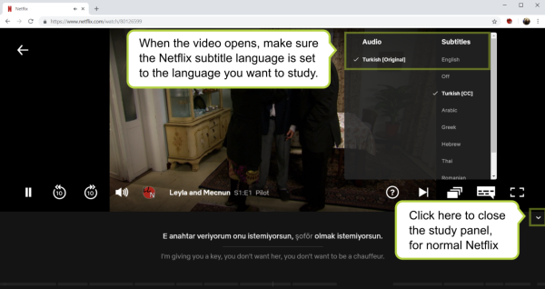 How You Can Easily Watch Netflix in Another Language