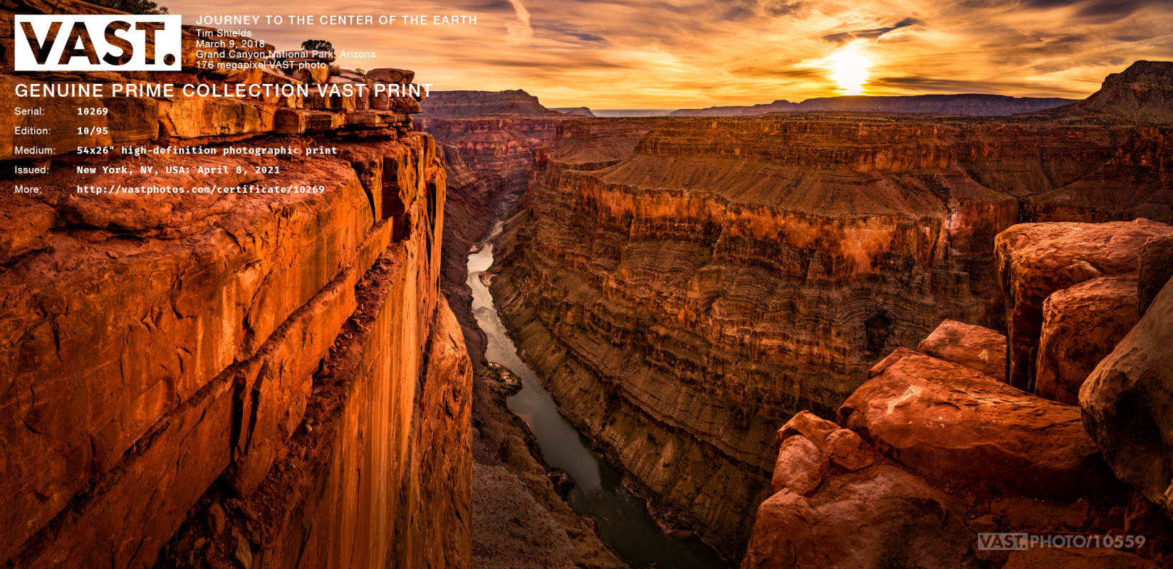Tim Shields | Journey to the Center of the Earth | View certificate