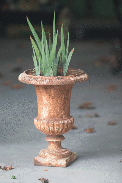 Danielle Swain | From Beginning To End: A transition of an image | View ...