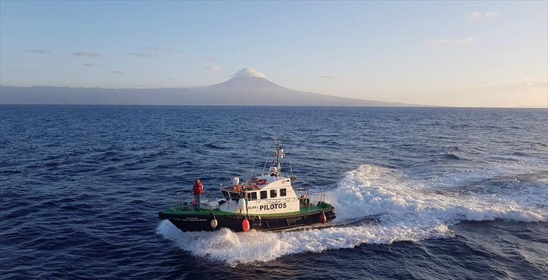 JOAO VAZ CORTE REAL - Vesseljoin