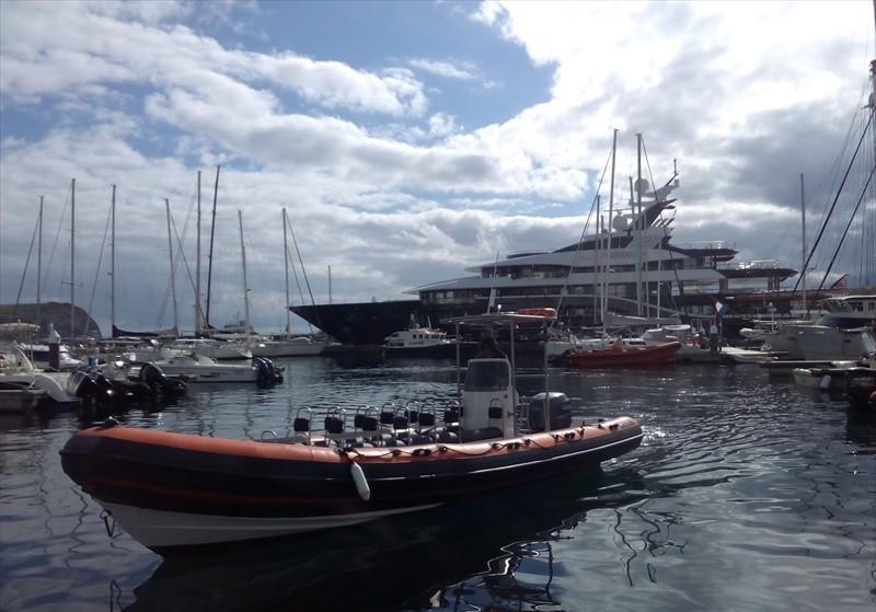 BICHO DO MAR - Vesseljoin