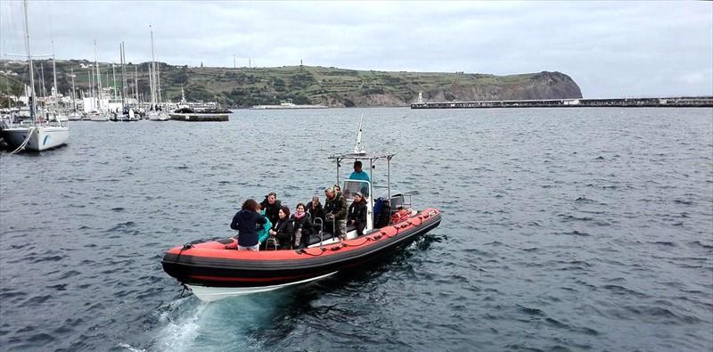 BICHO DO MAR - Vesseljoin