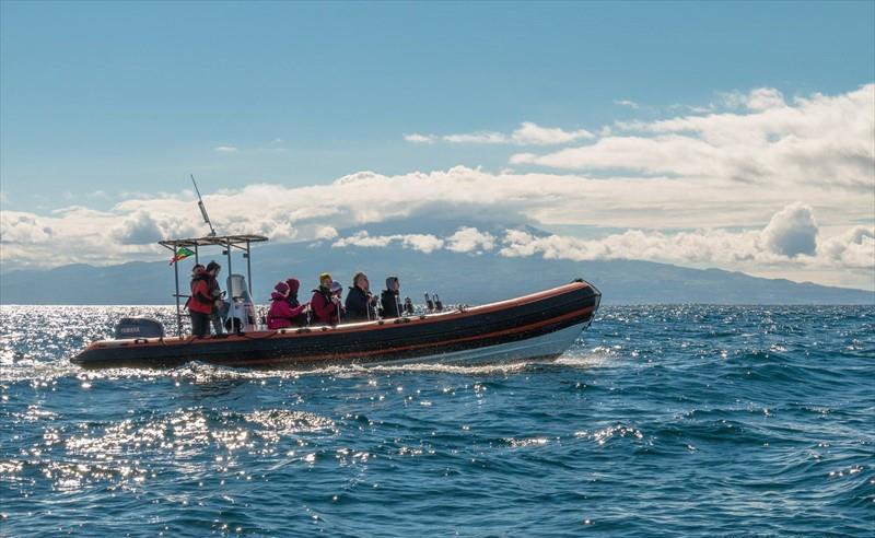 BICHO DO MAR - Vesseljoin